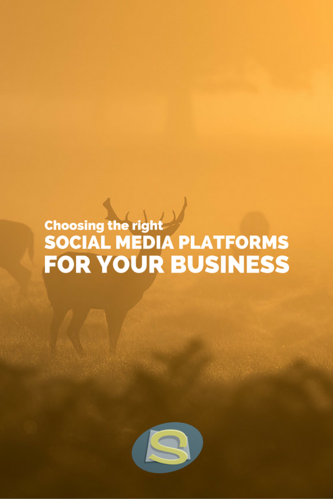 Choosing the right social media platforms for your business - Shay ...